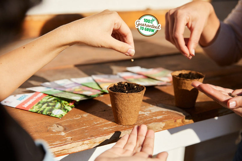 Back to the Roots | Official Site® | Organic Soil & Seeds