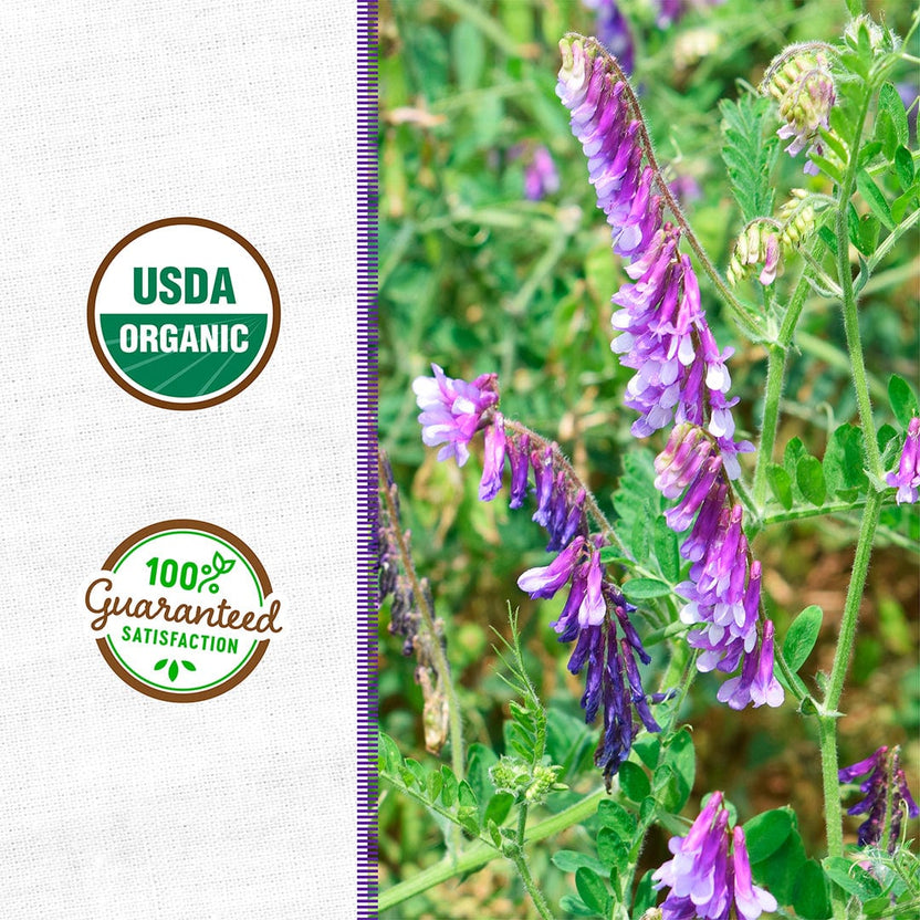 Organic Hairy Vetch Cover Crop Seeds – Back to the Roots