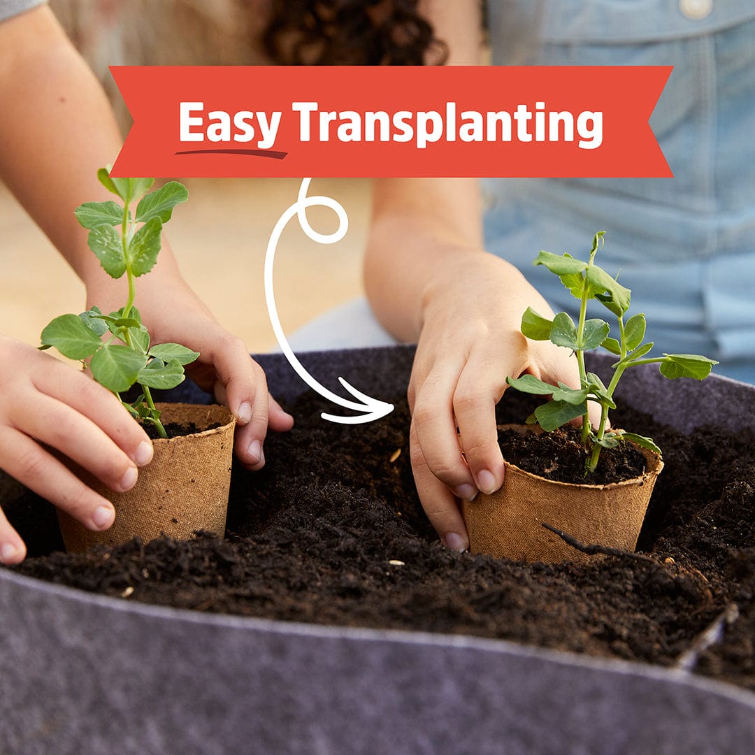 Kids Science Grow Kit Variety 3pk – Back to the Roots