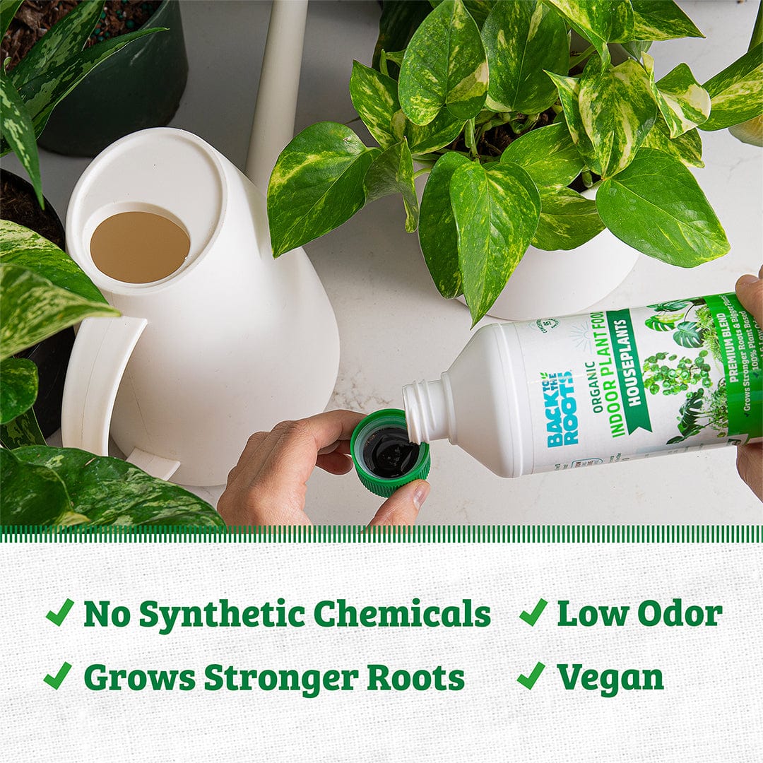 Organic Indoor Houseplant Plant Food – Back to the Roots