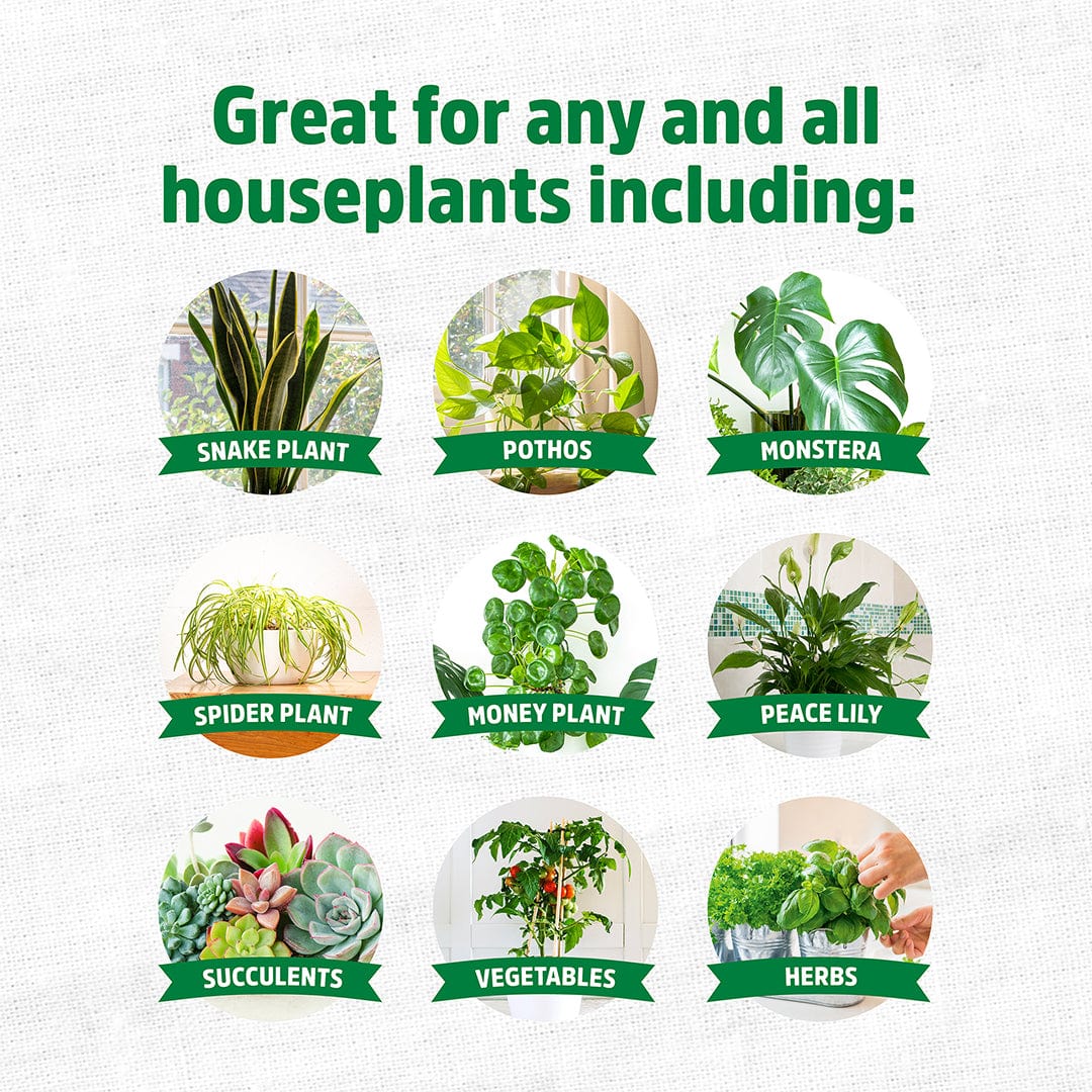 Organic Indoor Houseplant Plant Food – Back to the Roots