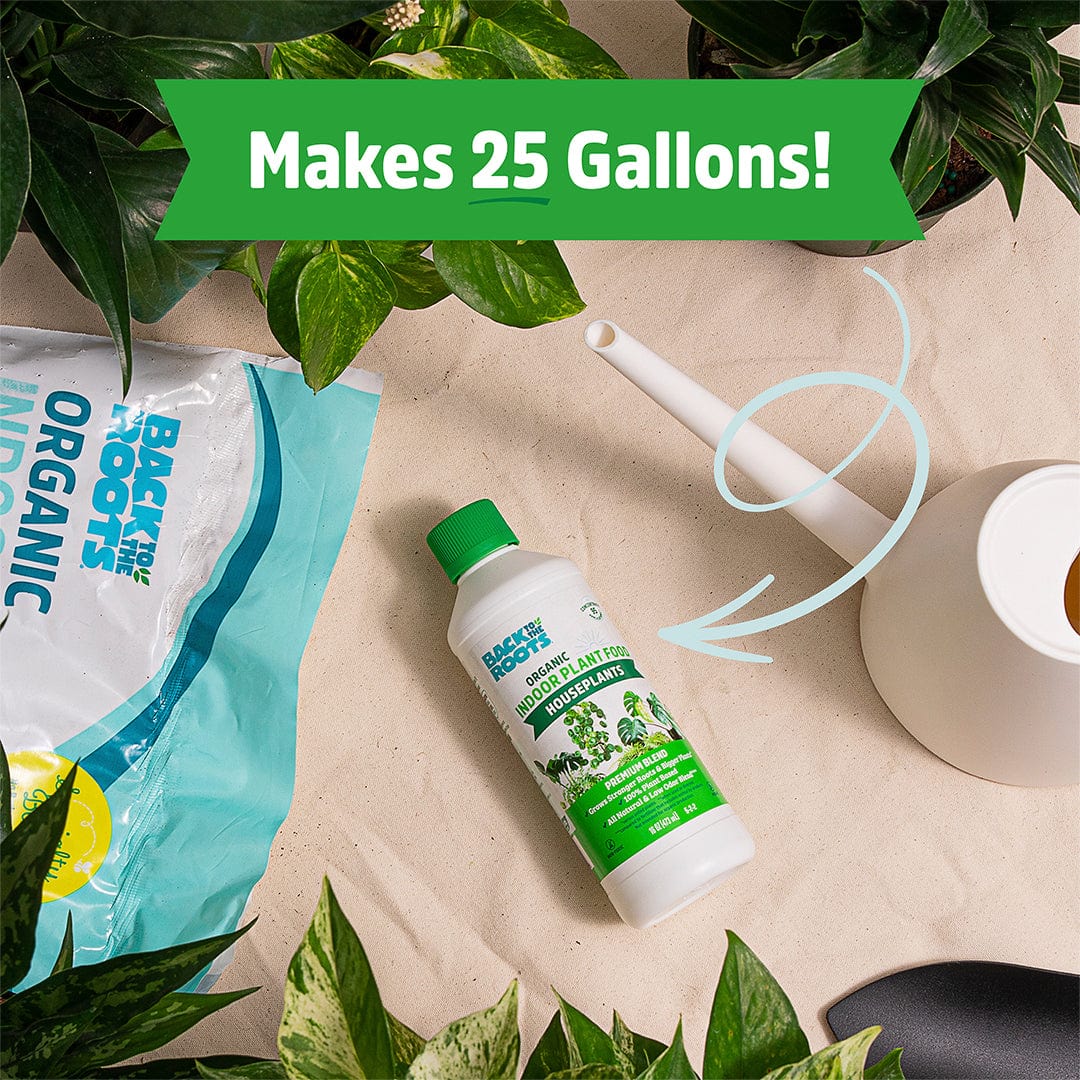 Organic Indoor Houseplant Plant Food – Back to the Roots