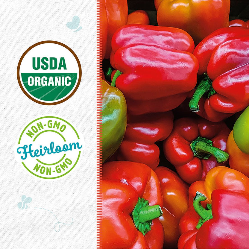 Organic Bell Pepper Seeds — 'Keystone Giant' – Back to the Roots