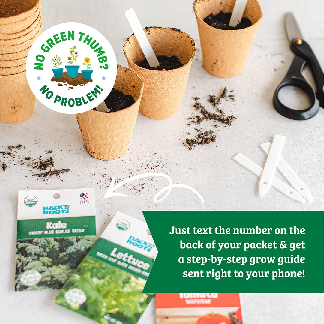 Organic Beginner’s Garden 10-Pack Seed Bundle – Back to the Roots