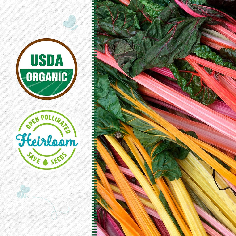 Organic Swiss Chard Seeds — 'Rainbow Mix' – Back to the Roots
