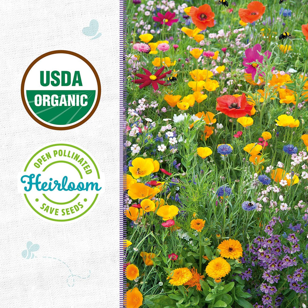 Organic Wildflower Mix – Back to the Roots