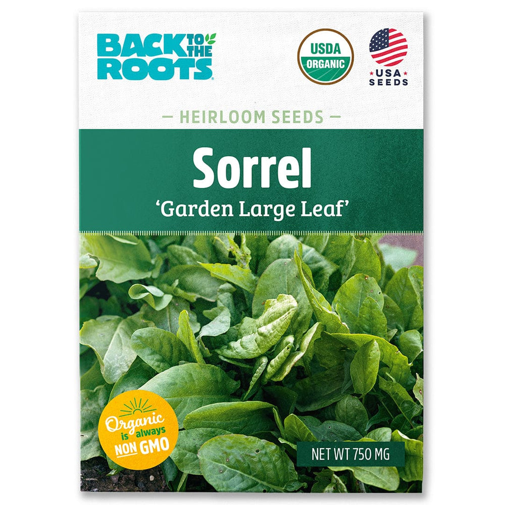 Organic Sorrel Seeds — 'Garden Large Leaf' – Back to the Roots