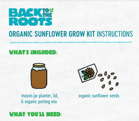 Sunflower – Back to the Roots