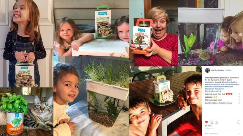 Our Story – Back to the Roots