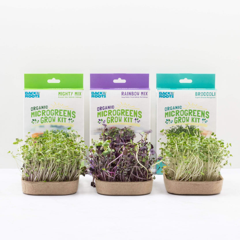Organic Microgreens Kit, Variety 3-Pack 🌱 – Back to the Roots