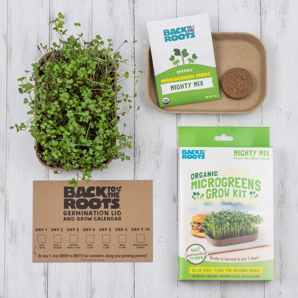 Organic Microgreens Kit, Variety 3-Pack 🌱 – Back to the Roots