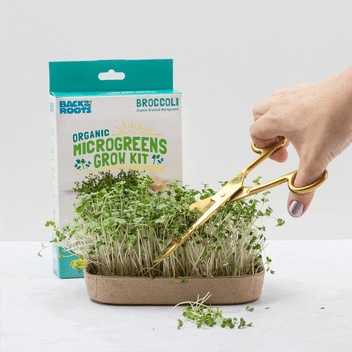 Organic Microgreens Kit, Variety 3-Pack 🌱 – Back to the Roots