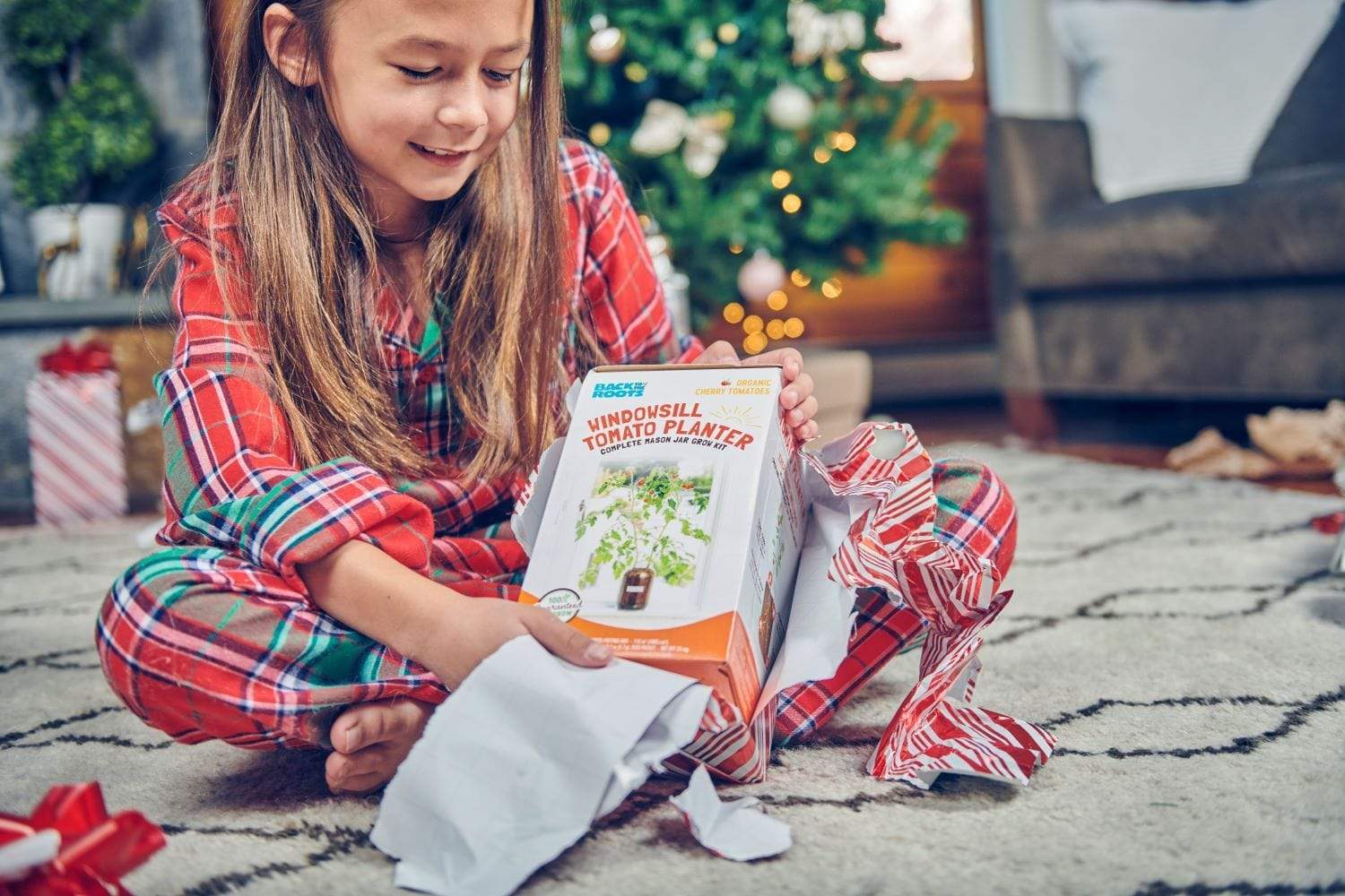 Herb & Veggie Grow Kit (Mason Jar 4-Pack) - Basil, Cilantro, Tomato and ...