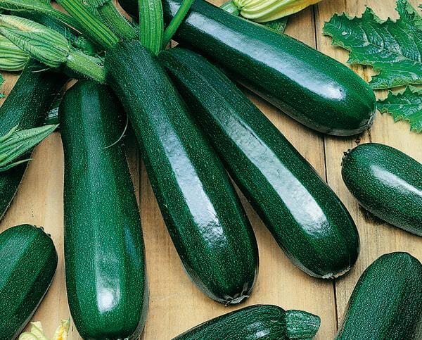 Classic Summer Seeds, 7-Pack Organic Seed Bundle – Back to the Roots