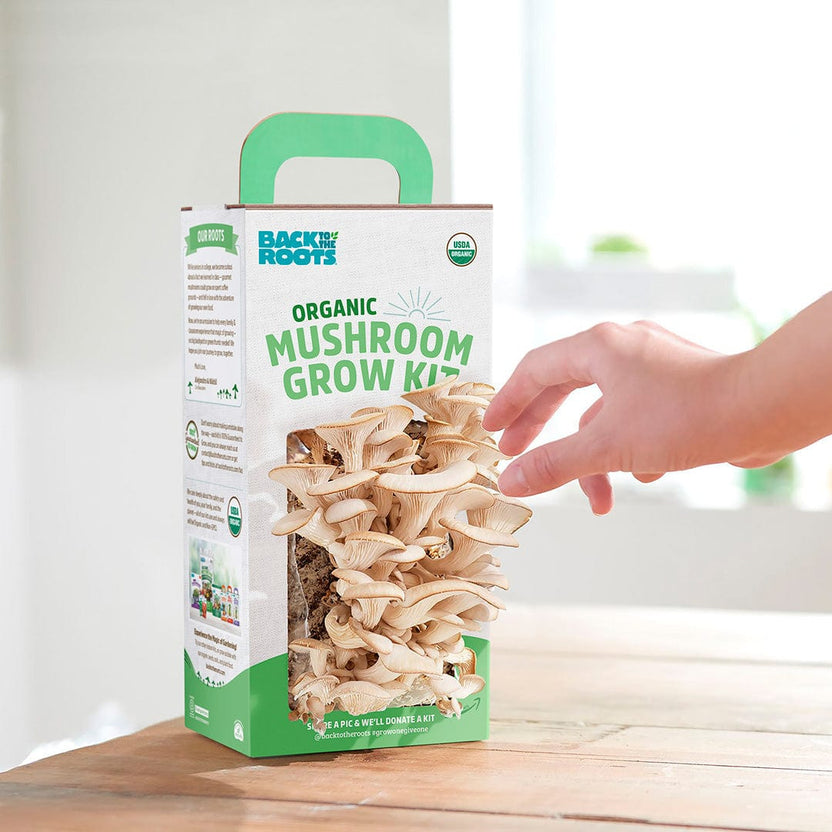 Mushroom Growing Kit – Homegrown Mushrooms – Learn Mushroom Farming ...