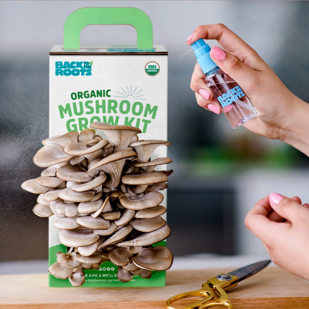 Mushroom Growing Kit – Homegrown Mushrooms – Learn Mushroom Farming ...