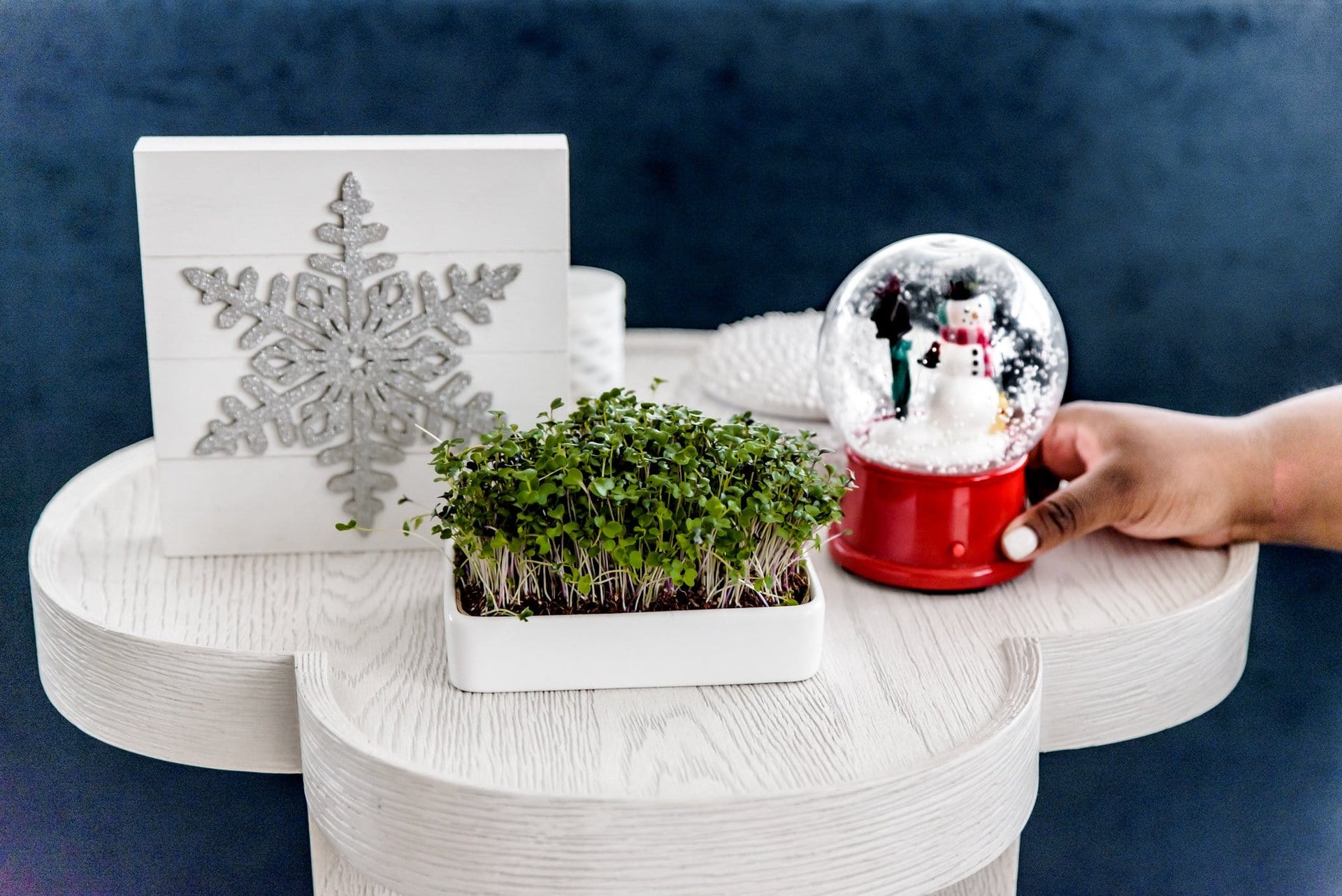 Ceramic Microgreens Planter, 3-Pack – Back to the Roots