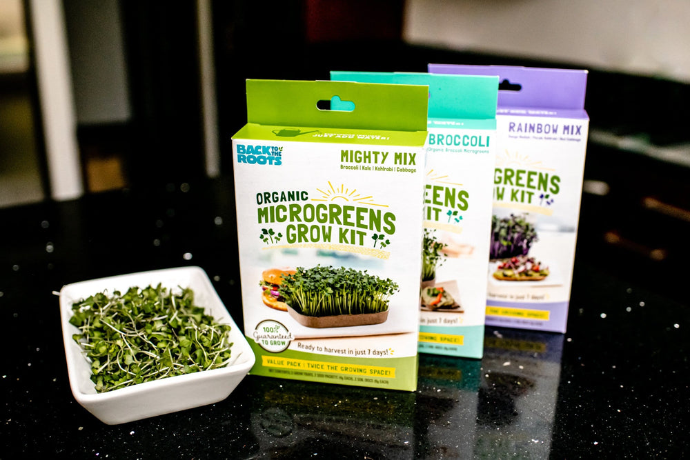 Organic Microgreens Kit, Bulk Saver 6-Pack 🌱 – Back to the Roots
