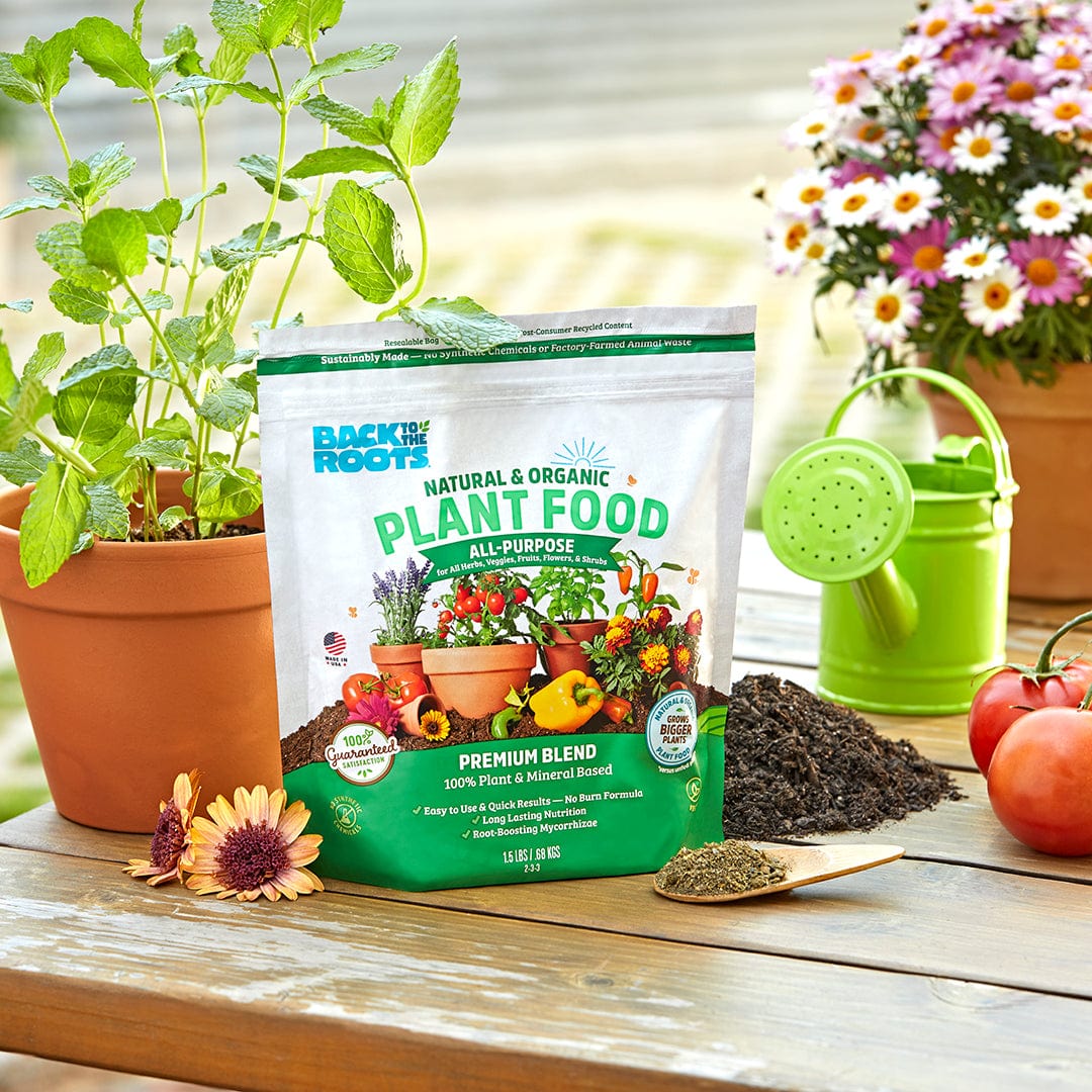 Natural & Organic ALL-PURPOSE Plant Food – Back to the Roots