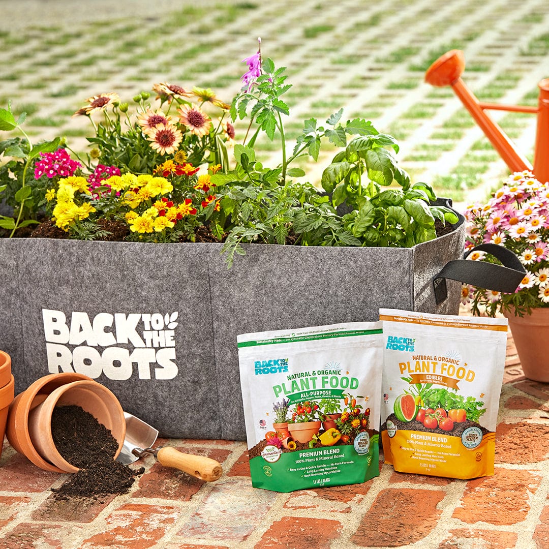 Natural & Organic ALL-PURPOSE Plant Food – Back to the Roots