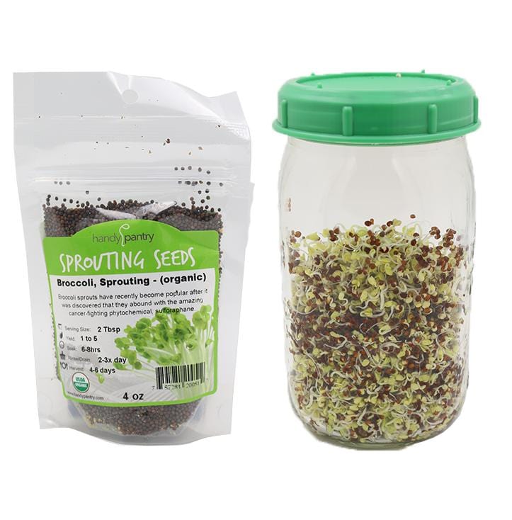 1 Month Refill Seeds for Complete Sprouting Kit (5 Part Salad Mix ...
