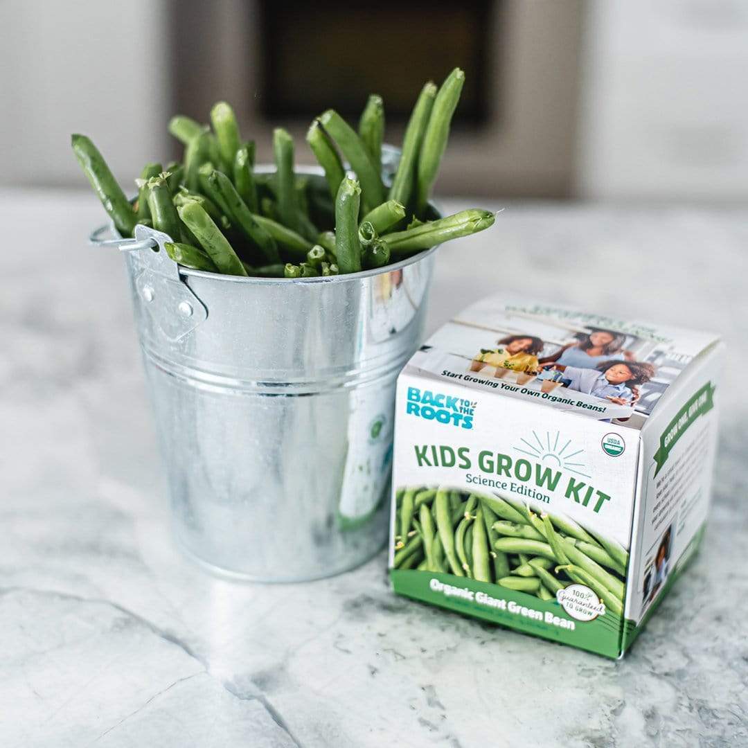 Kids Science Grow Kit Variety 3pk – Back to the Roots