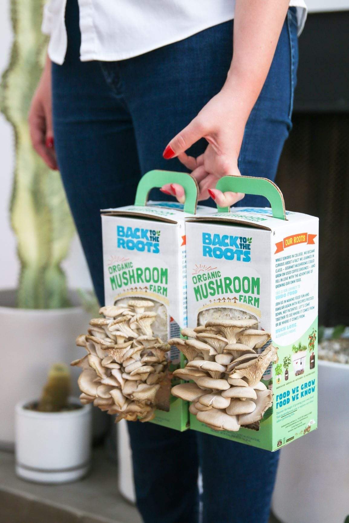 Mushroom Growing Kit – Homegrown Mushrooms – Learn Mushroom Farming ...