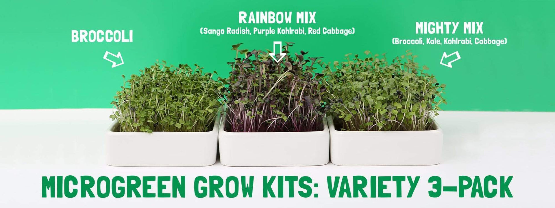 Organic Microgreens Kit, Variety 3-Pack 🌱 – Back to the Roots