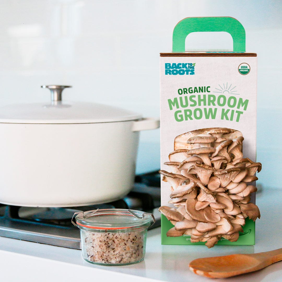 Mushroom Growing Kit – Homegrown Mushrooms – Learn Mushroom Farming ...