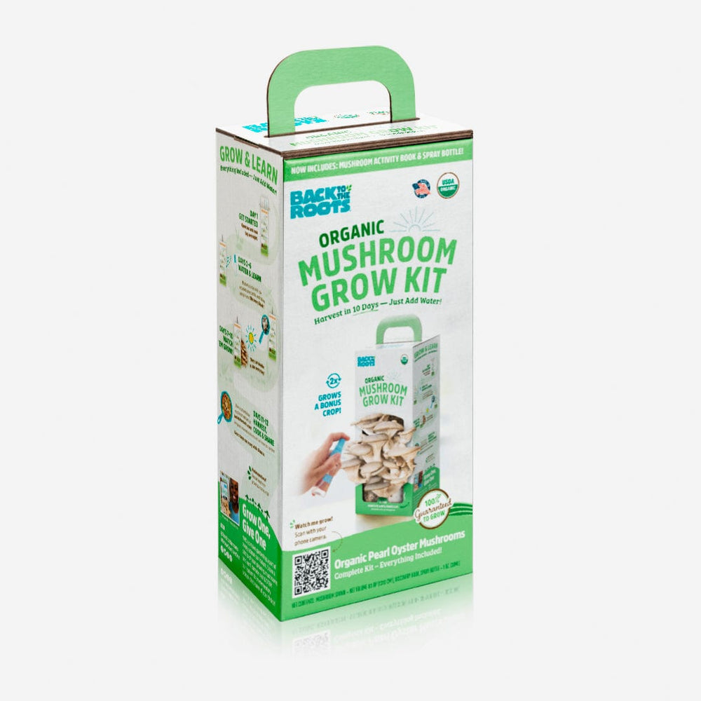 Original Mushroom Growing Kit by Back to the Roots – Grow Mushrooms at Home