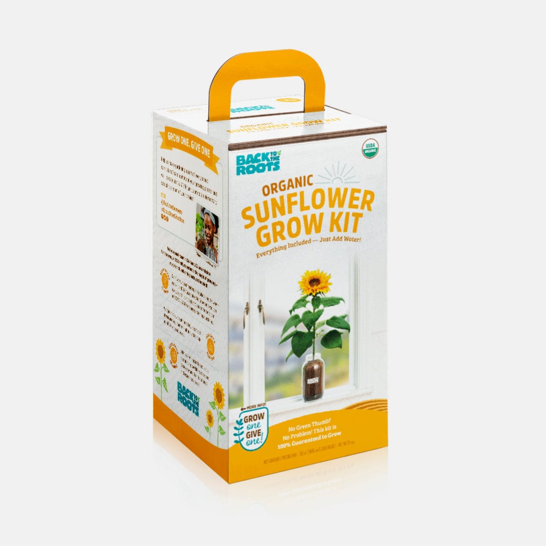 Organic Sunflower Windowsill Grow Kit 🌻 – Back to the Roots