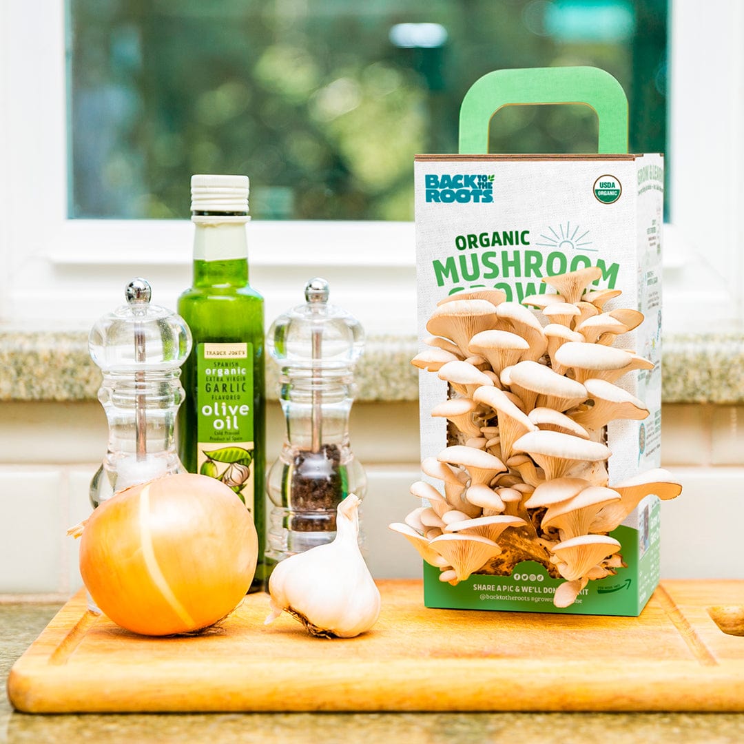 Mushroom Growing Kit – Homegrown Mushrooms – Learn Mushroom Farming ...